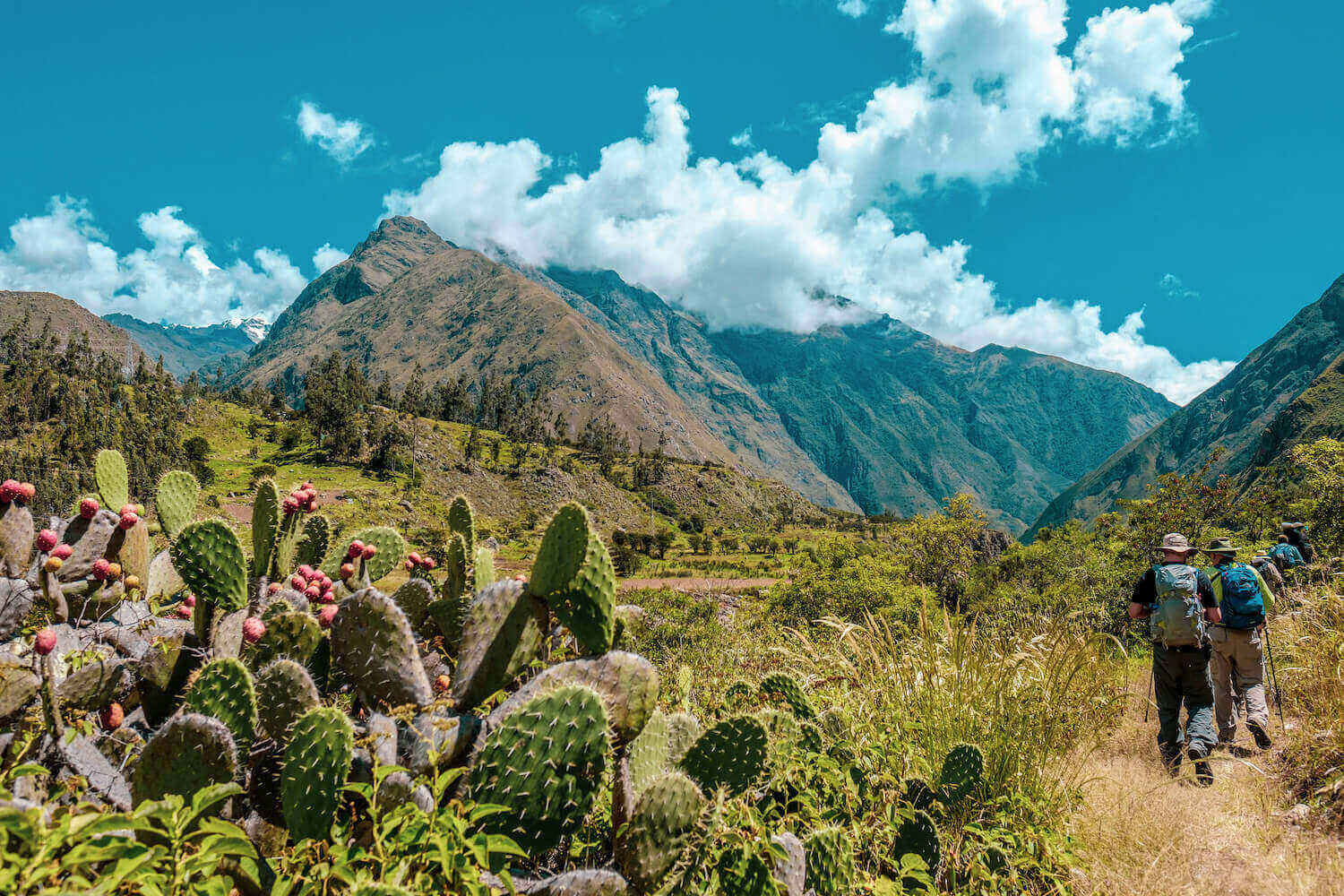 Camino Inca Clásico 4 días to Machu Picchu - Machu Picchu MP