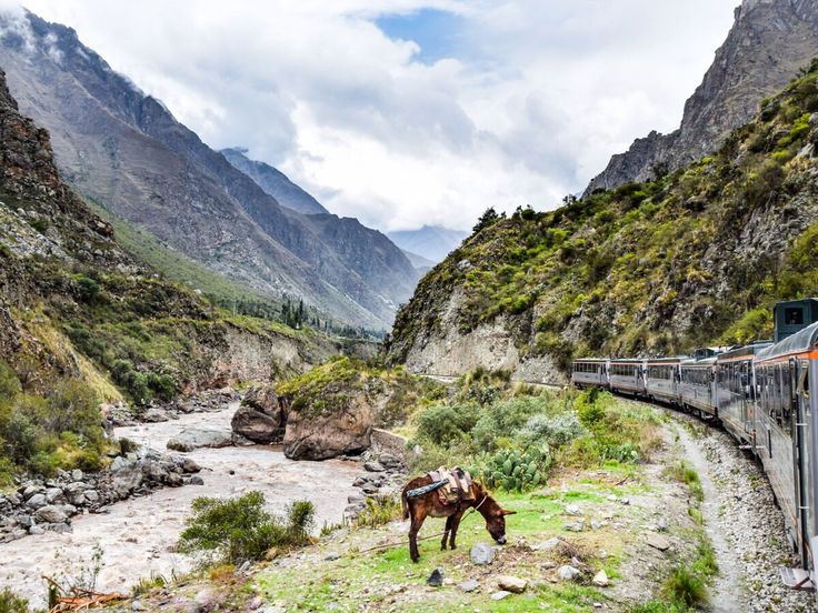 Tren Inca Rail, guía completa para una experiencia inolvidable a Machu ...